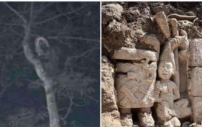 Comparte AMLO un aluxe; enloquecen las redes