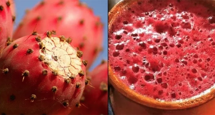 Para qué sirve tomar ‘colonche’, bebida popular mexicana