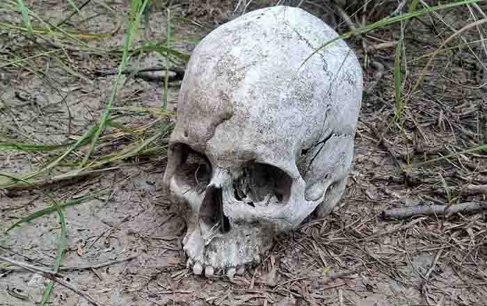 Localiza 'Colectivo Amor por los Desaparecidos' restos humanos