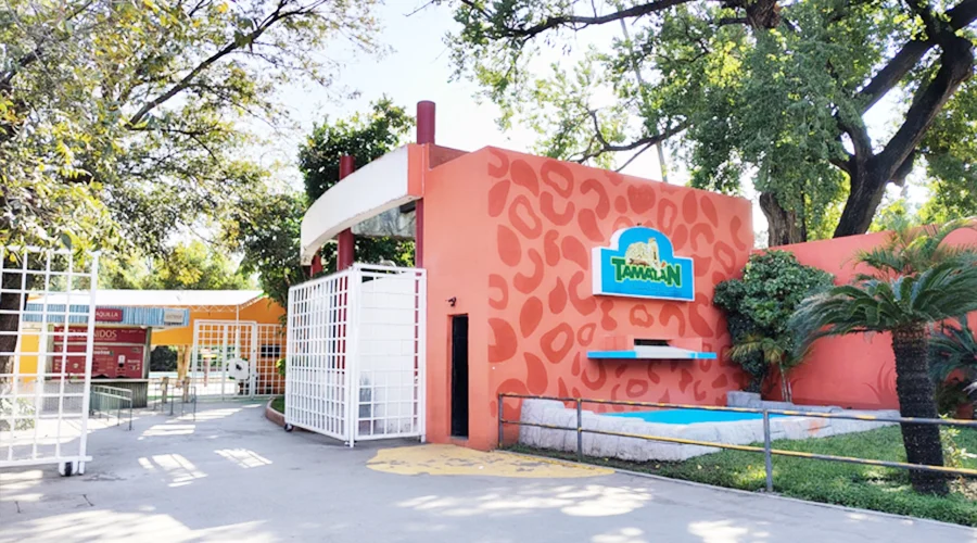 Liberan a ocho monos en espacio del zoológico de Tamatán