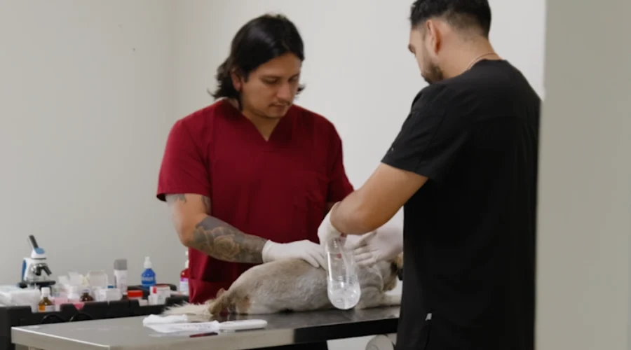 Alcalde Beto Granados hace historia con el primer Centro de Bienestar ...